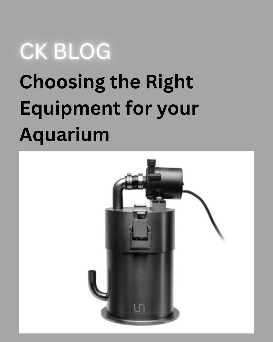 Choose the Right Equipment for Your Aquarium (Freshwater & Saltwater ...